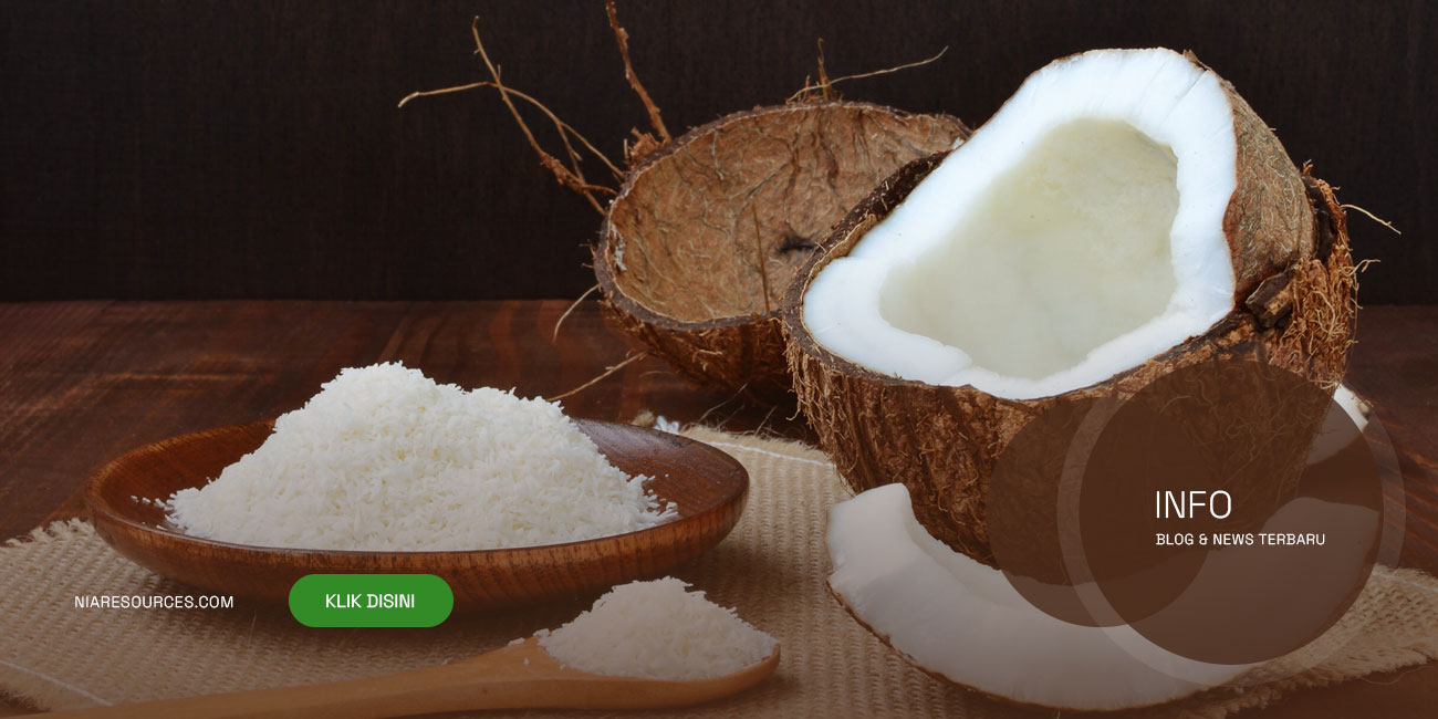 Premium Desiccated Coconut Indonesia – PT Niaga Indo Alam Resources